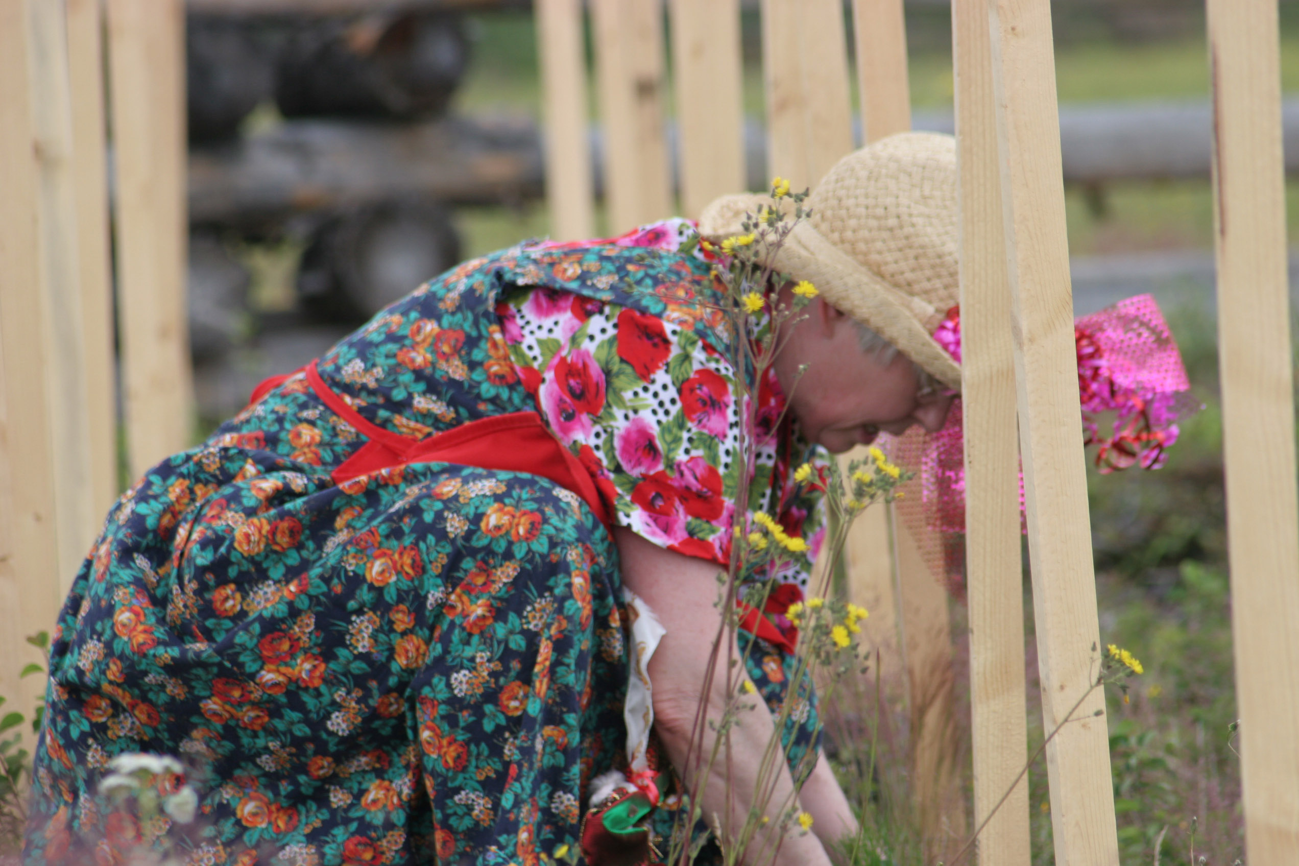 edna8 – Susan Barton-Tait